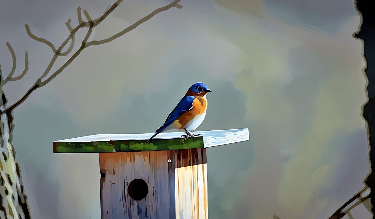 Hello, Writer! | Linda Caroll | Substack