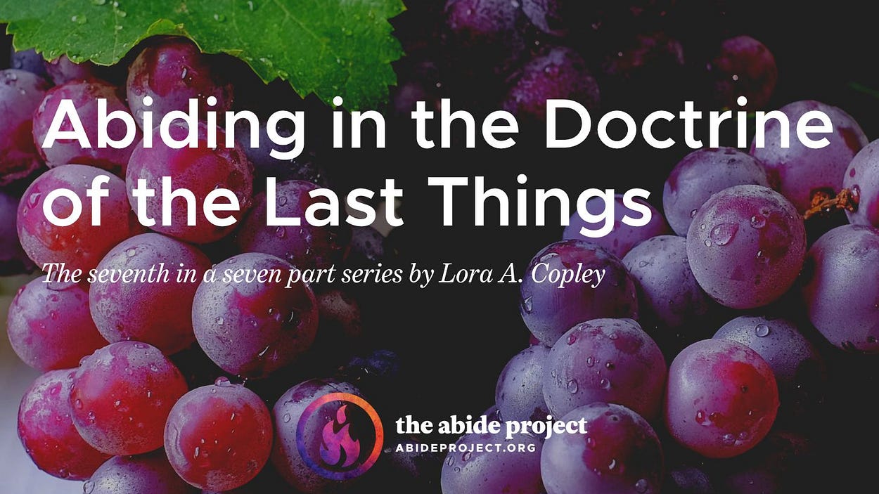 The Abide Project | Substack