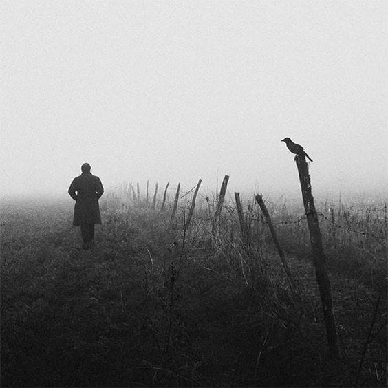 Poetic Outlaws | Substack