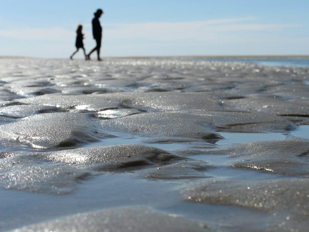 Whole Human Mama | Graeme Seabrook | Substack