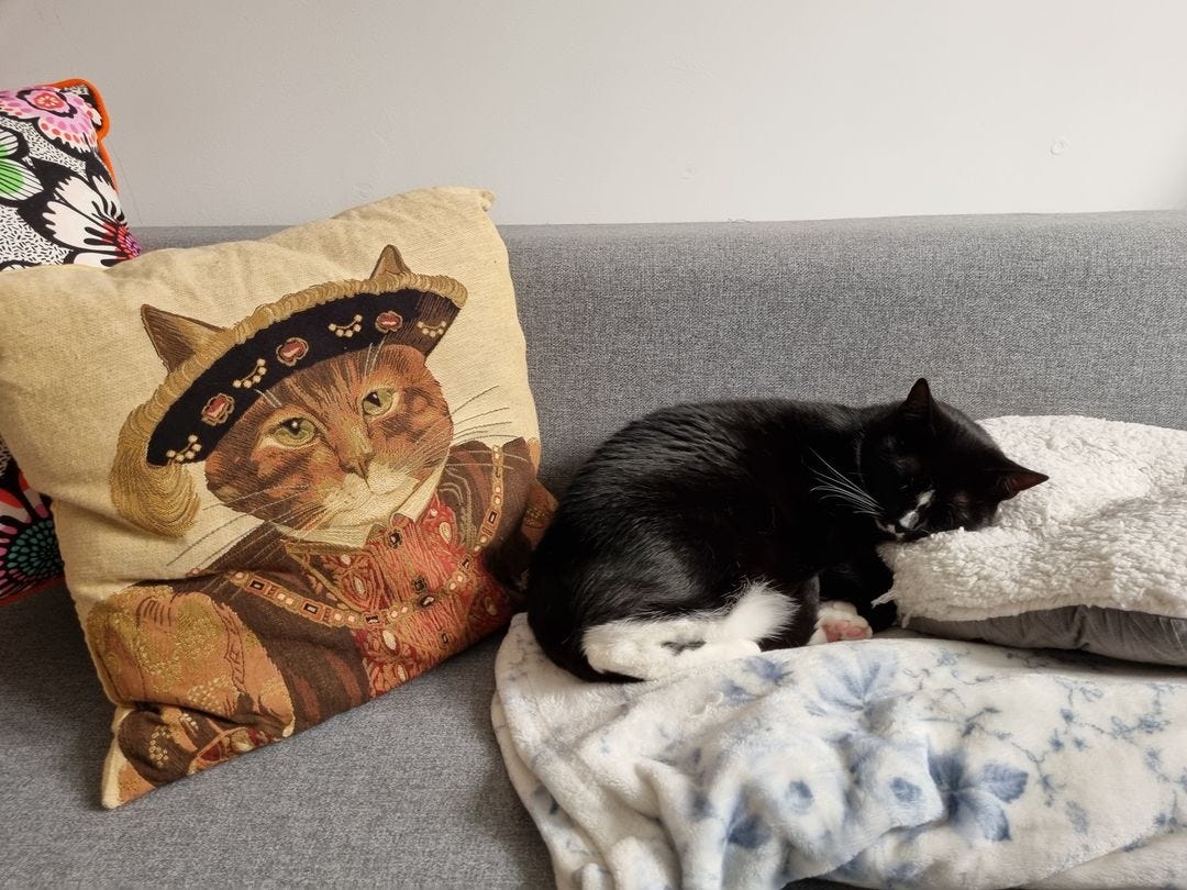 A Chronicle of Dragons & Cats | Nathen Amin | Substack