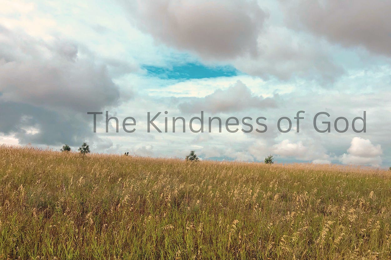 More Beautiful Than Necessary | Tresta Payne | Substack