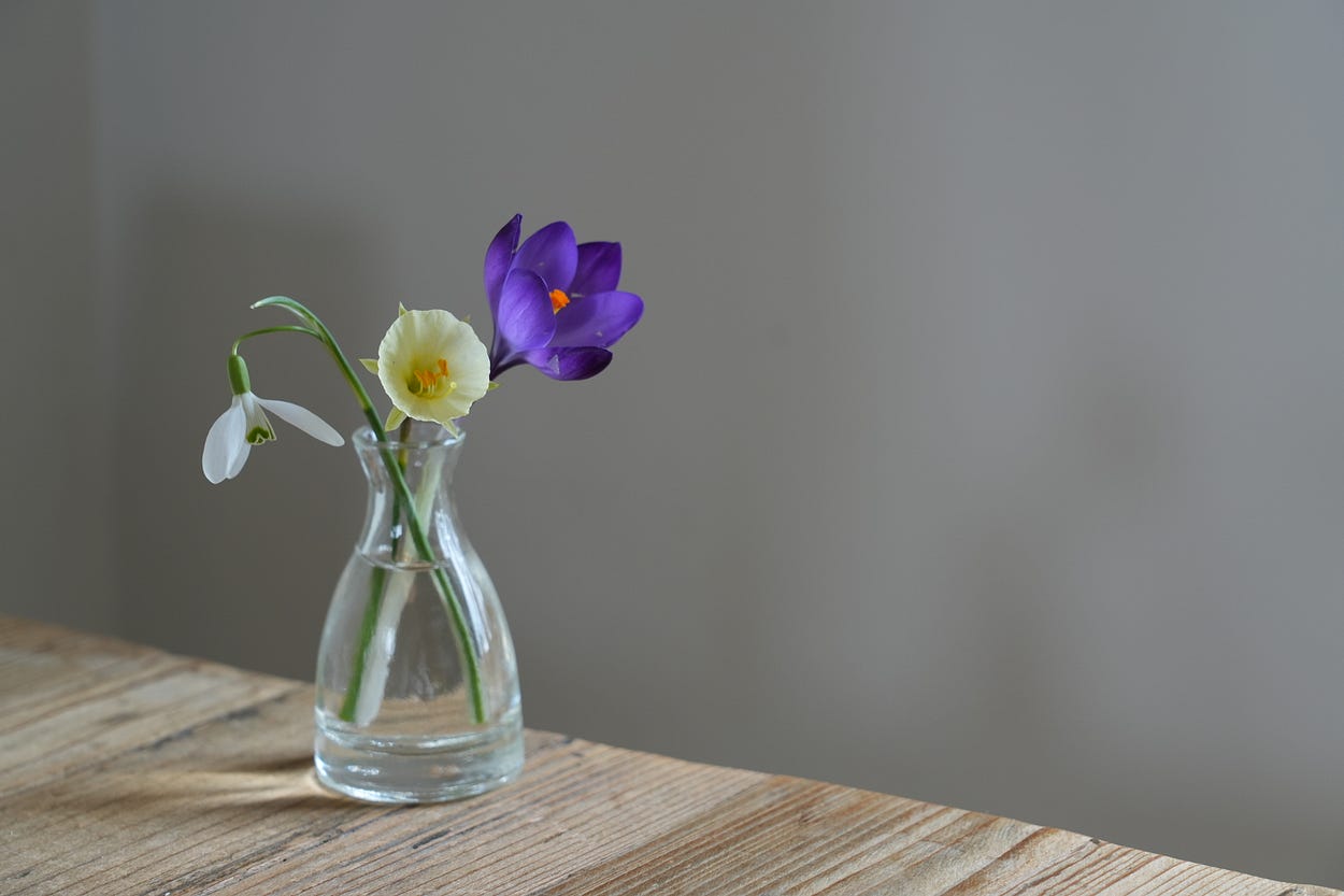 Wild Way: Gardening with Wildlife by Jack Wallington | Substack