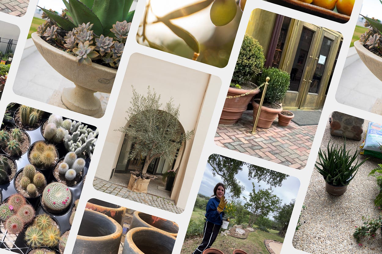 The Cabinista | Peyton Davies | Substack