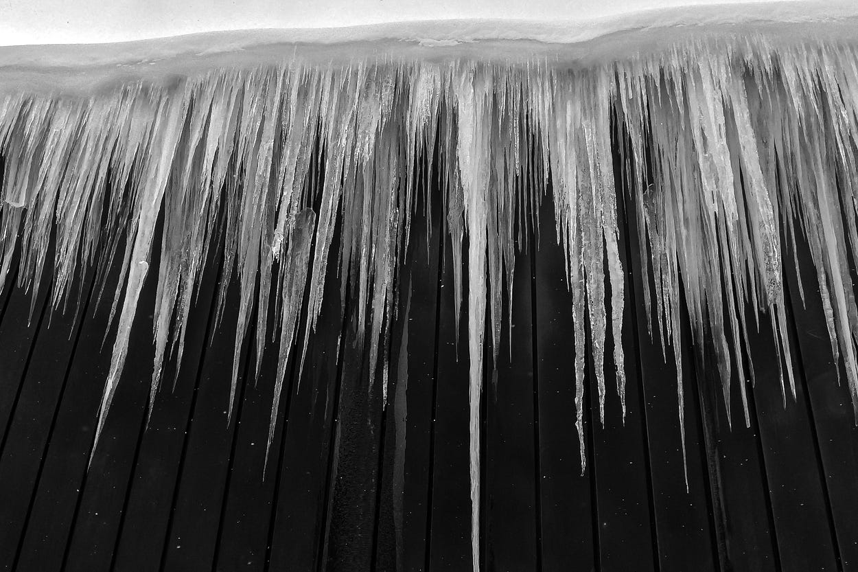 Snow News | Mitch Tobin | Substack