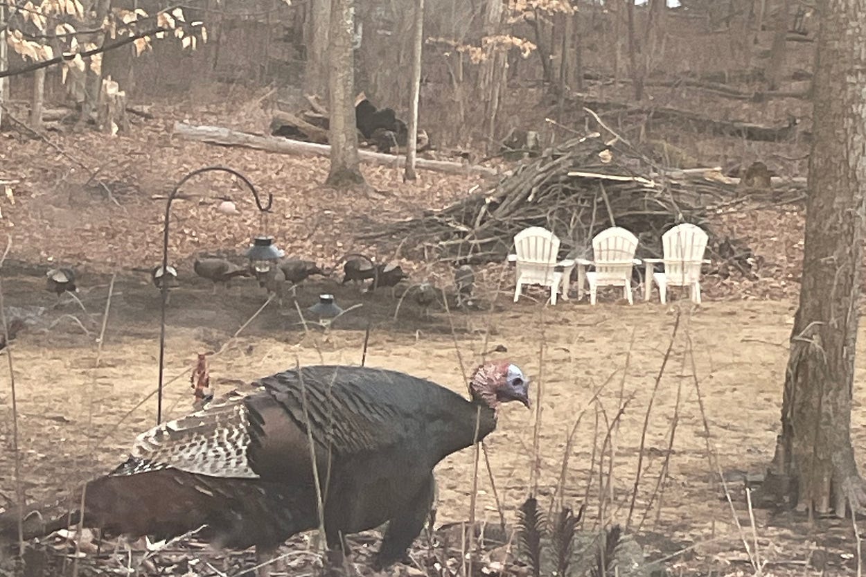 J.F. Riordan; Reflections on a Life in Exile | J. F. Riordan | Substack