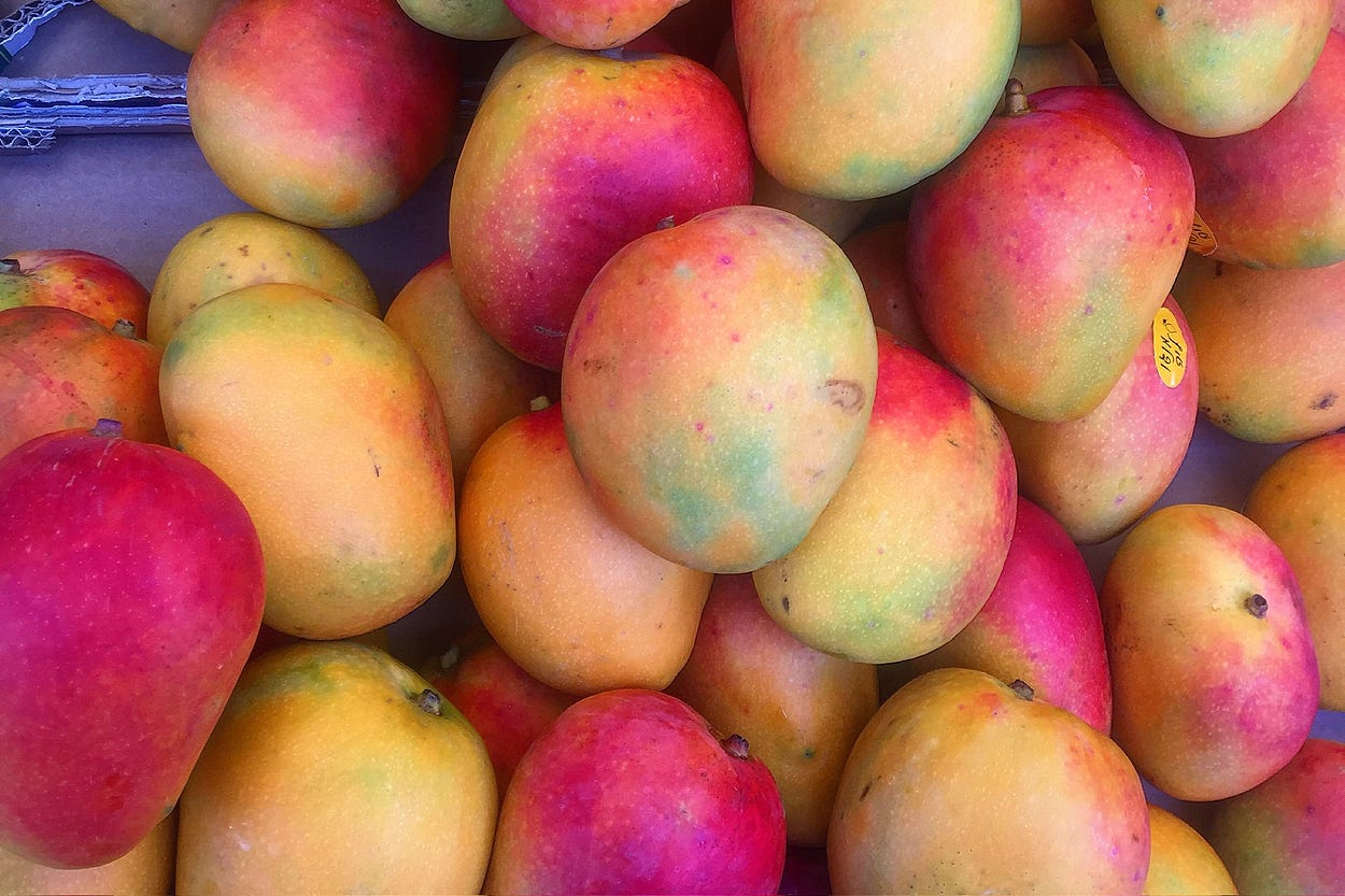 xoxo Adeena | Adeena Sussman | Substack