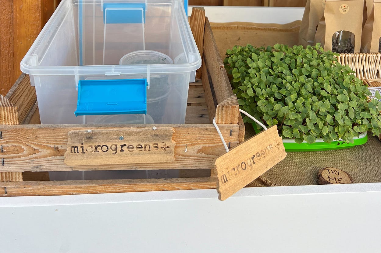 House of Green | Alexandra Fasulo | Substack