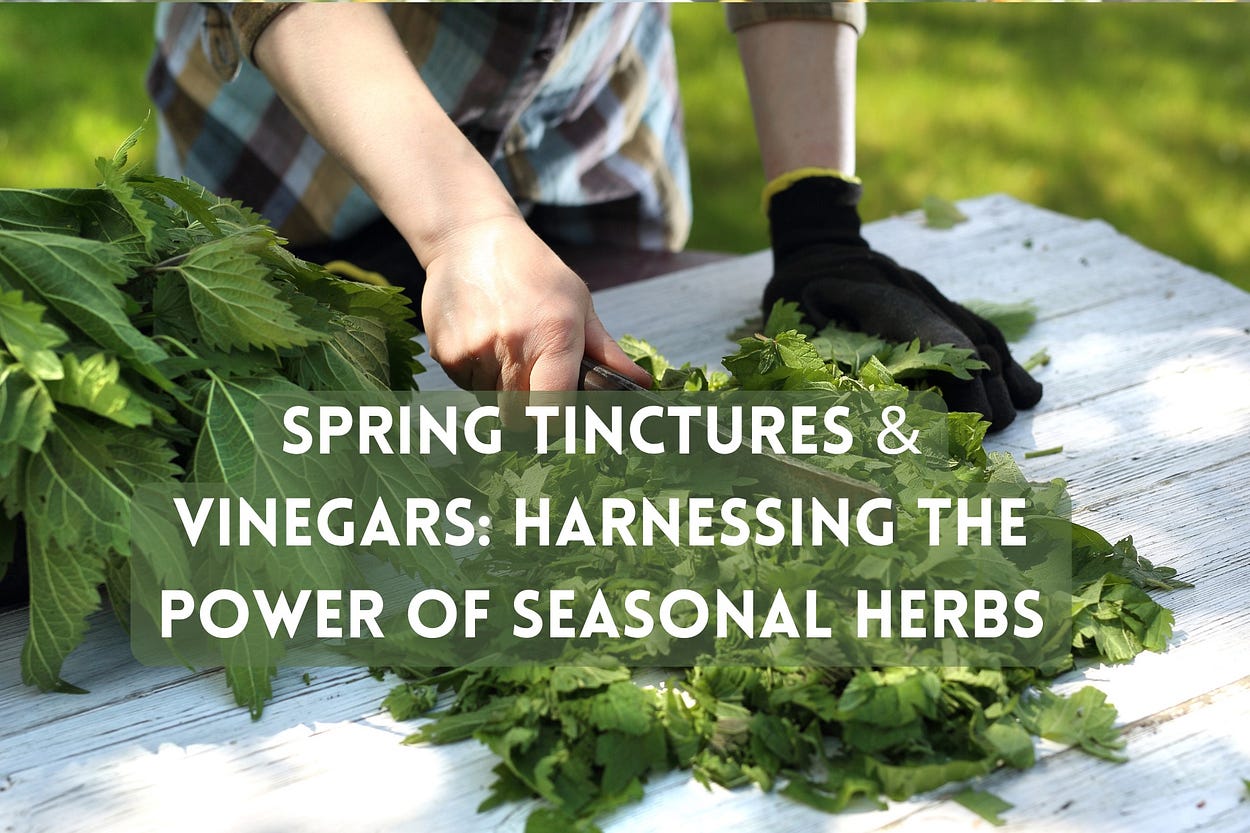 Mother Gardener | Cortney Kern | Substack