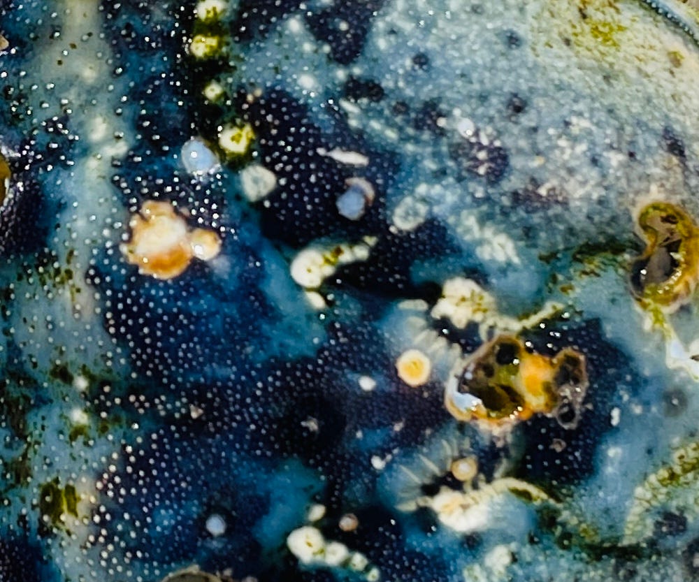 Threadnoodle | Izzy Moore | Substack