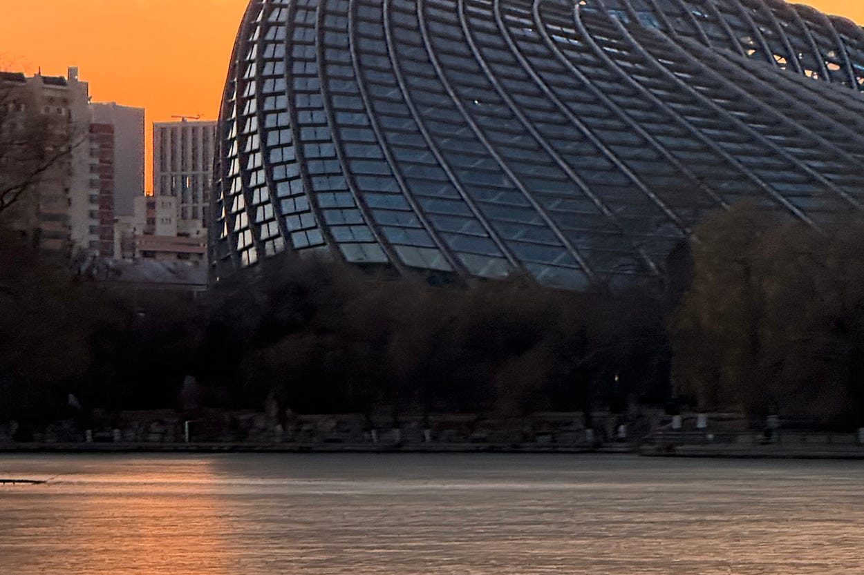 CLiuAnon | Catherine Liu | Substack