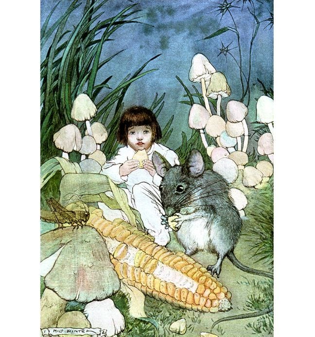 The Orange & Bee | Substack