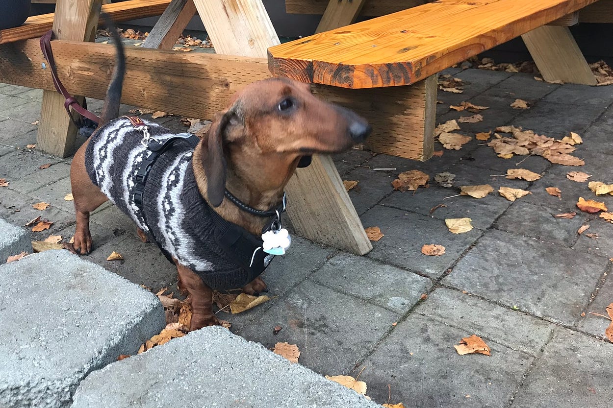 J.F. Riordan; Reflections on a Life in Exile | J. F. Riordan | Substack