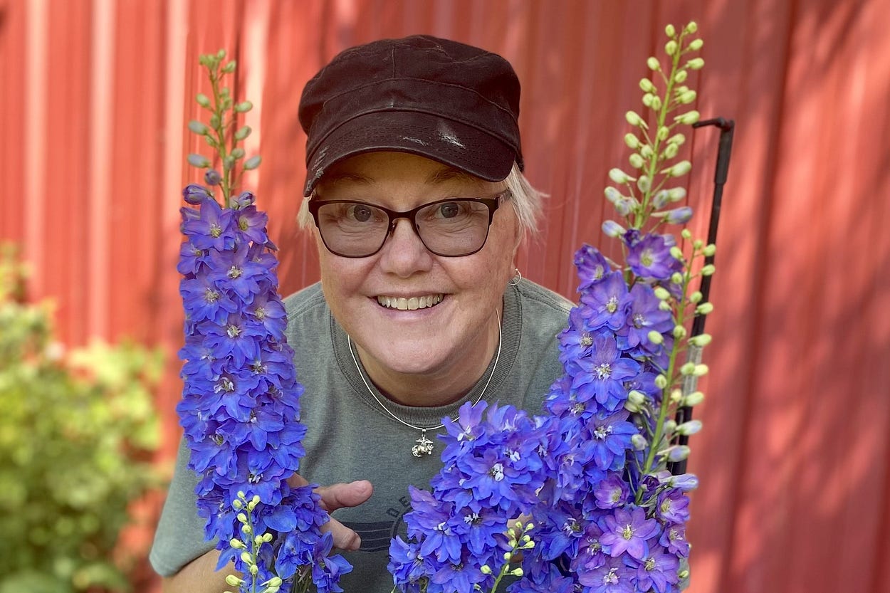 Seasons of the Soul | Deb Sinness | Substack