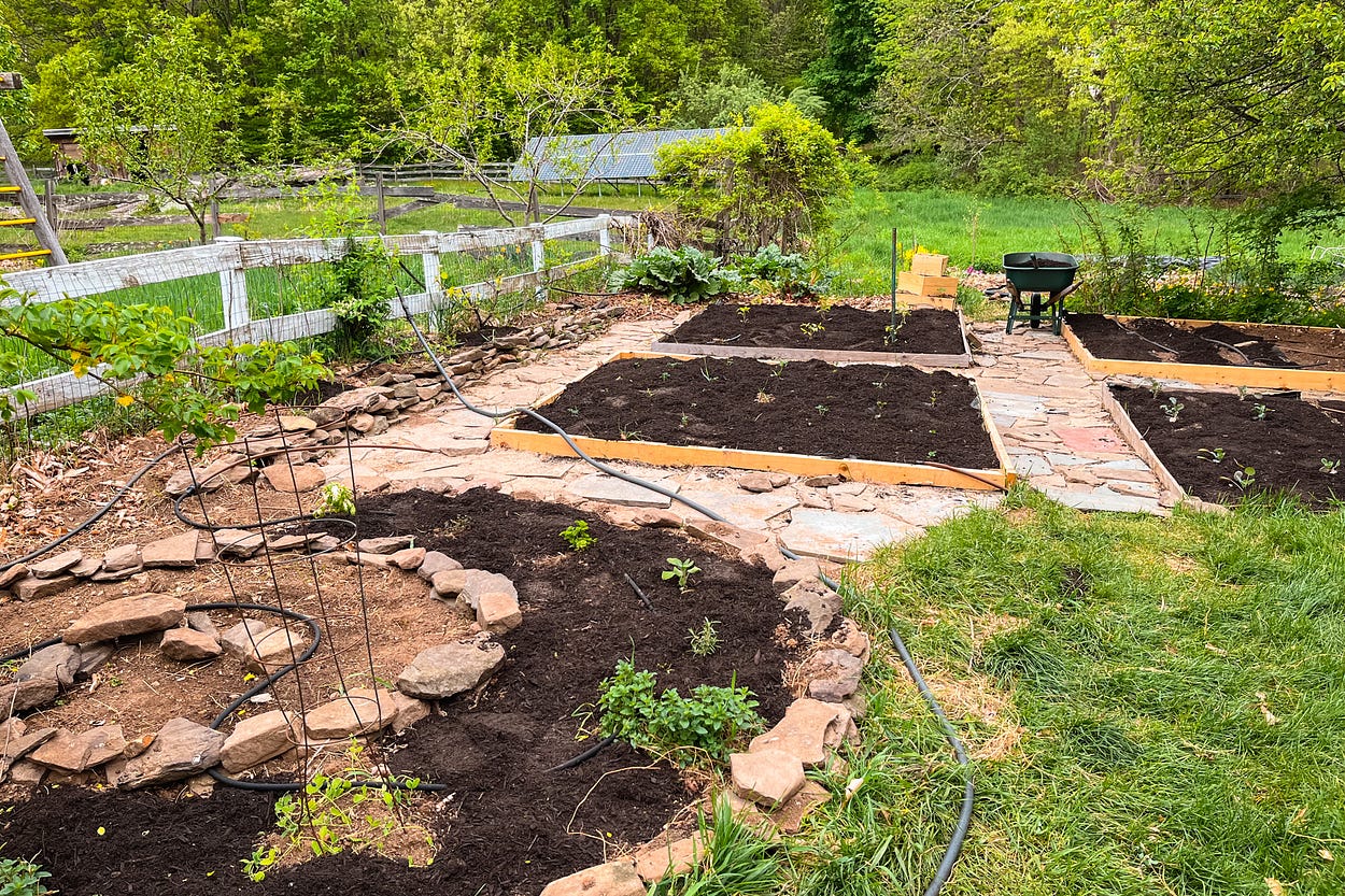 Backyard Farming Connection | Gretchen | Substack