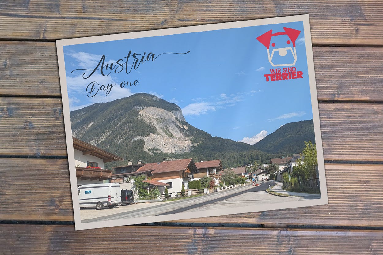 We Are Terriers | Steven Chicken | Substack