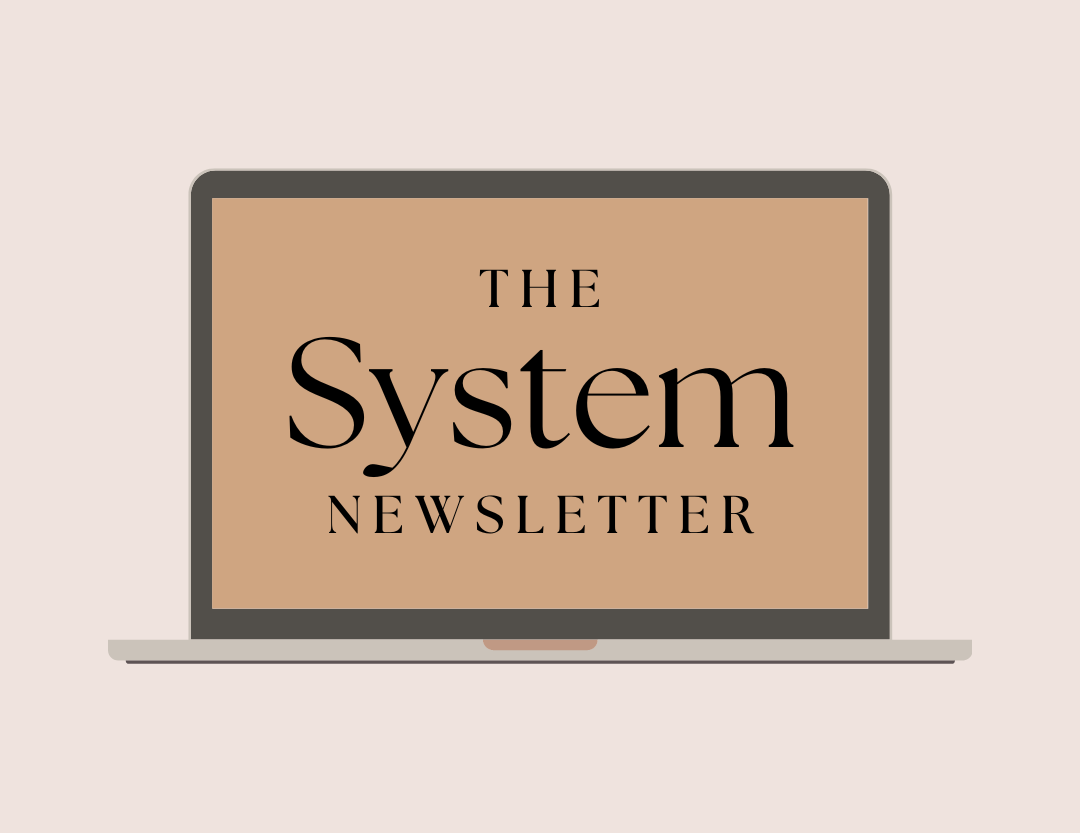 The System Newsletter | Ally Fortis | Substack