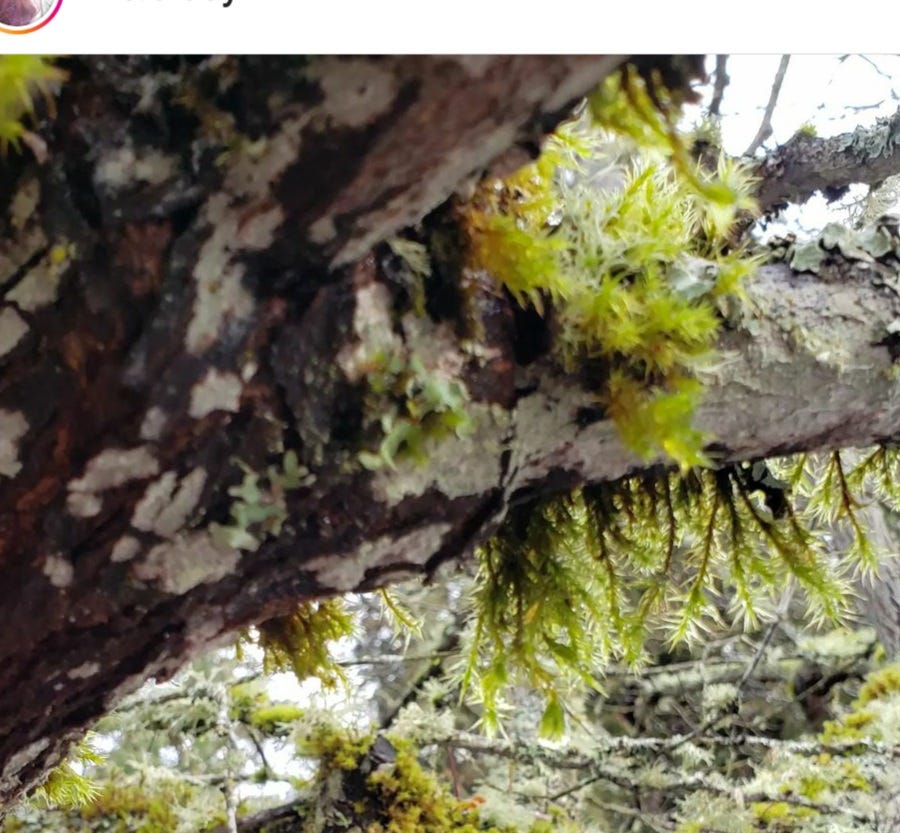 Magical Musings with MeBrady | Maryellen Brady 💗📚 | Substack