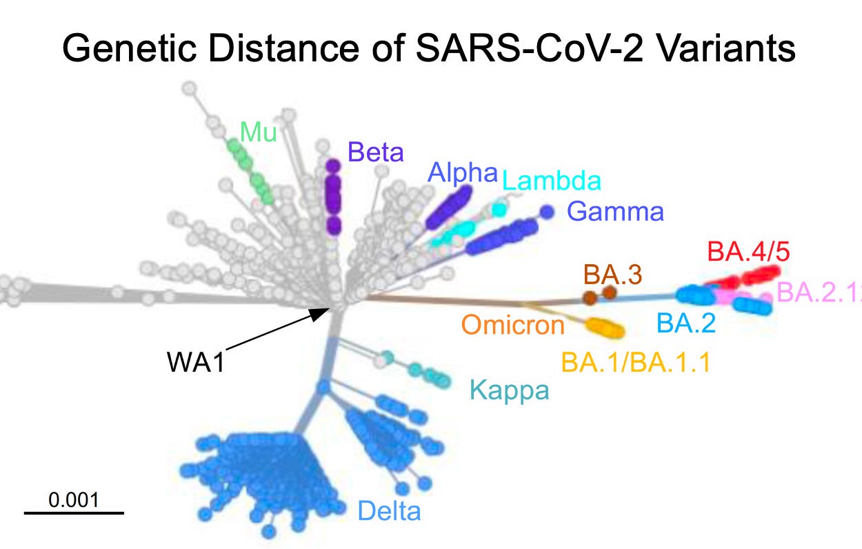 Best Science Newsletters on Substack