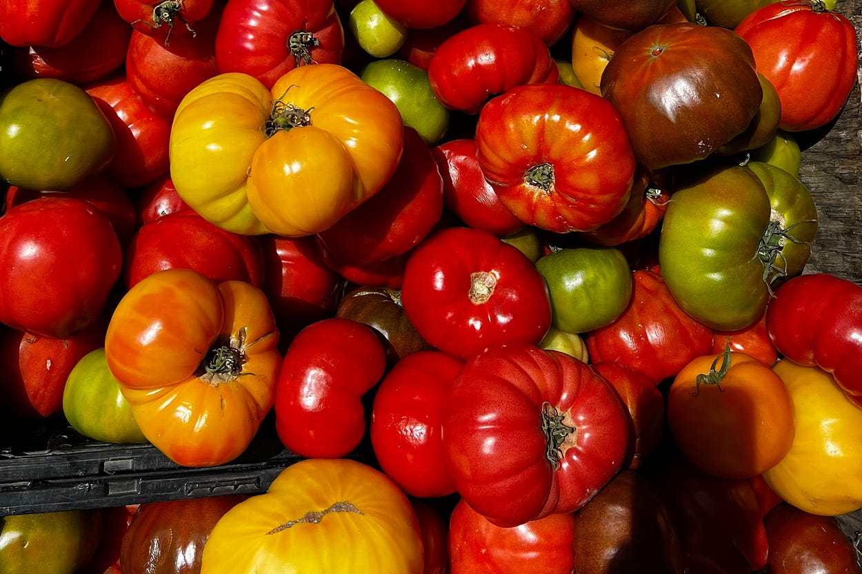 Best Food & Drink Newsletters on Substack