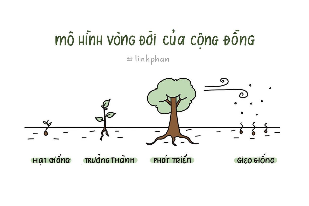 Community Growth Lab | Substack