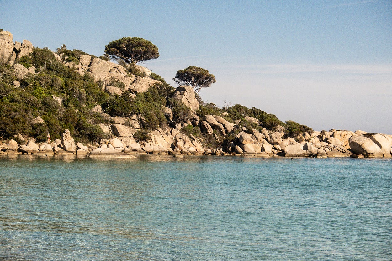 A Journal by Harriet | Harriet Davidson | Substack