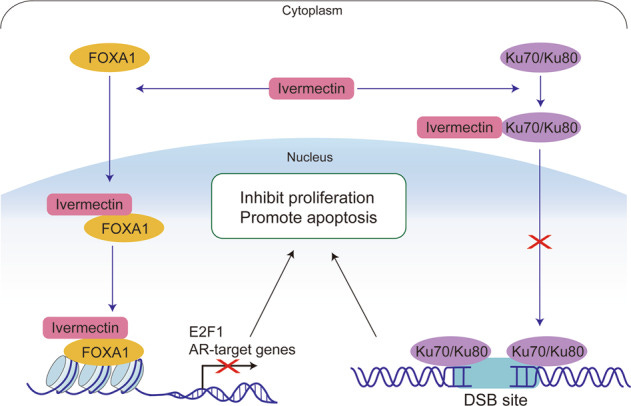 Best Science Newsletters on Substack