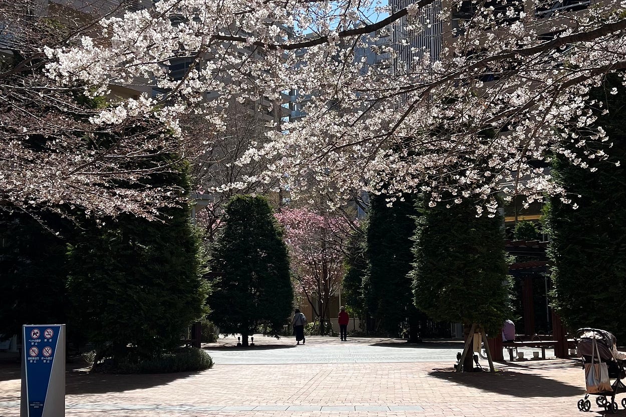 MisoNews 日本新創報 | Linn | Substack