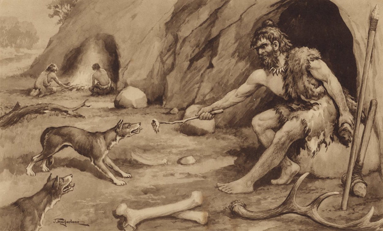 Aesop's Gables | Substack