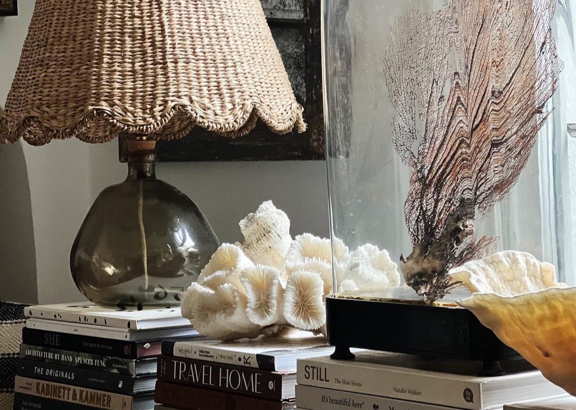 For The Curious | Ali Heath | Substack