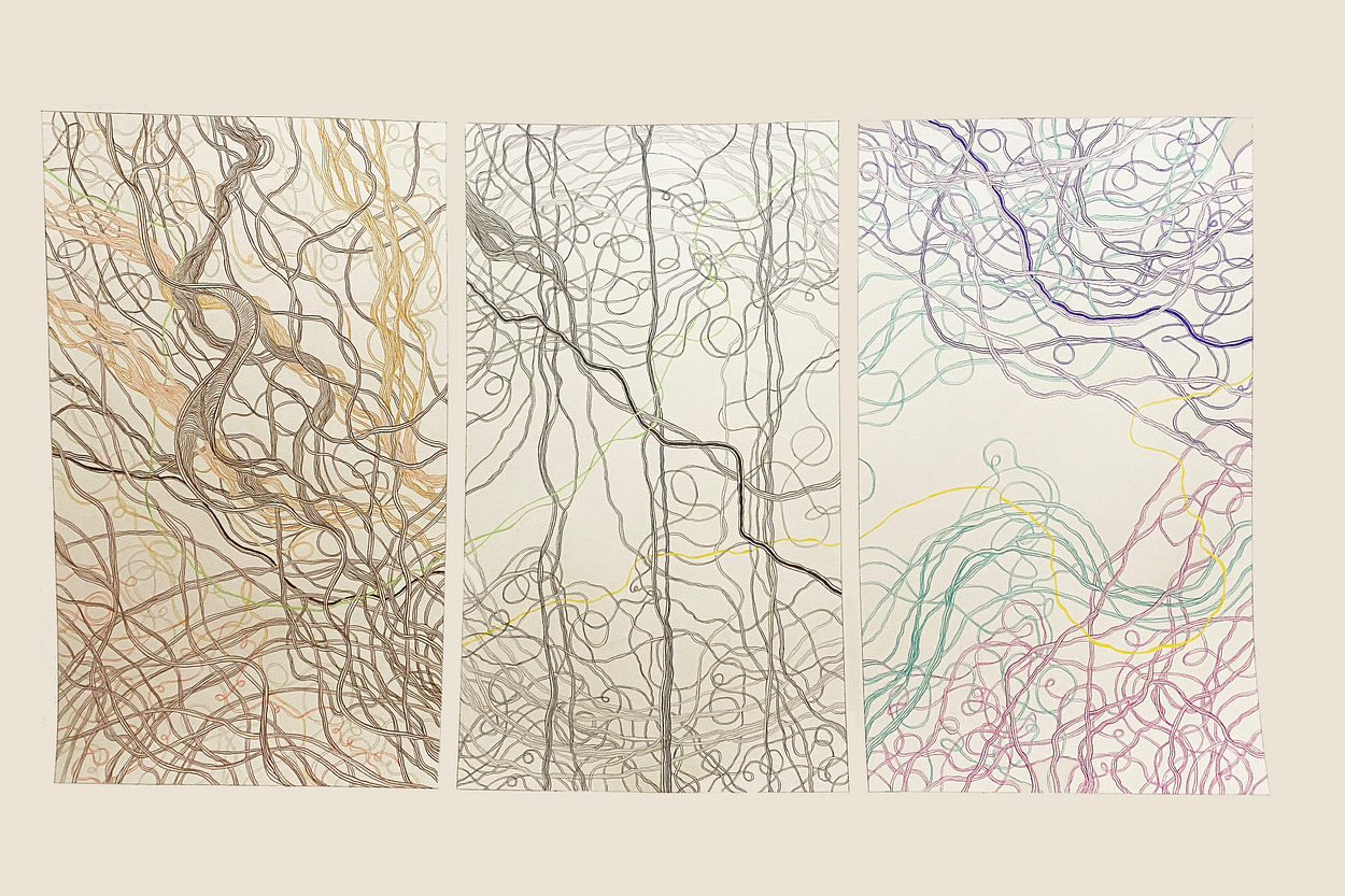 Starhan Garden | Substack