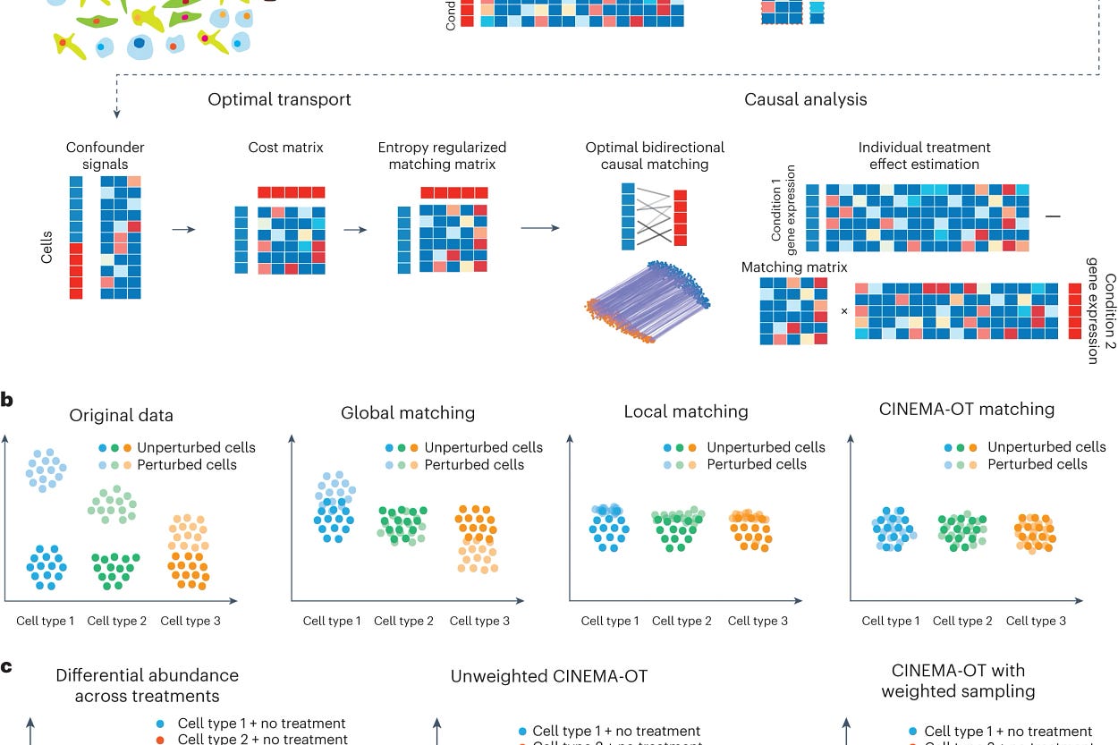 Life, explained | Simona Cristea | Substack