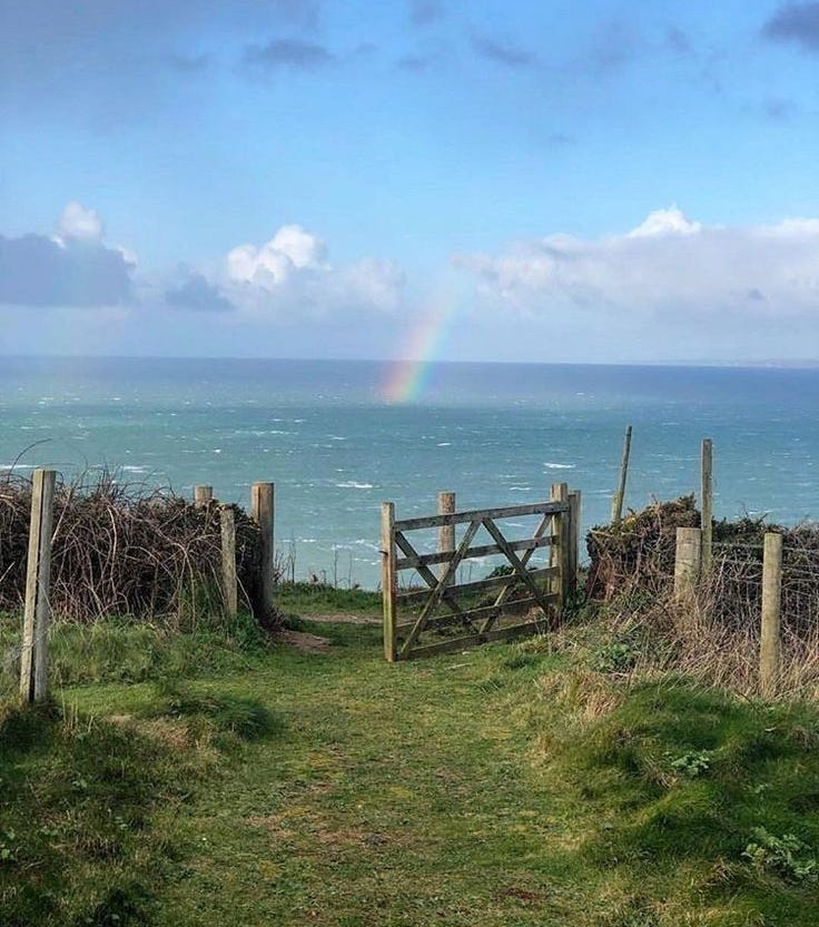 Golden Nurture | Emily Smith | Substack