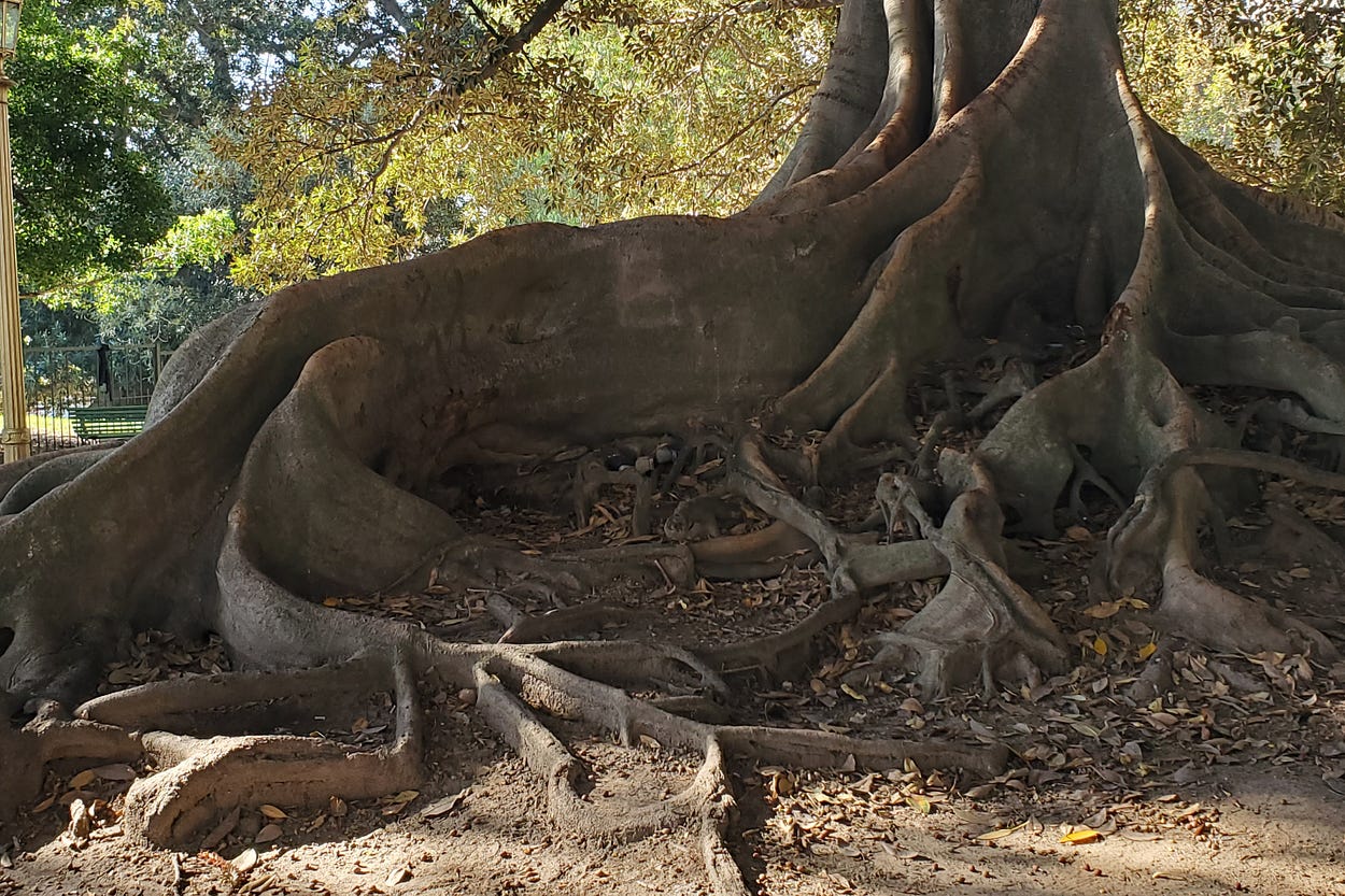 Best Science Newsletters on Substack