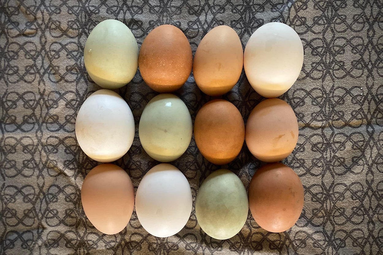 Hoosier Heritage Homestead | Noah Coley | Substack