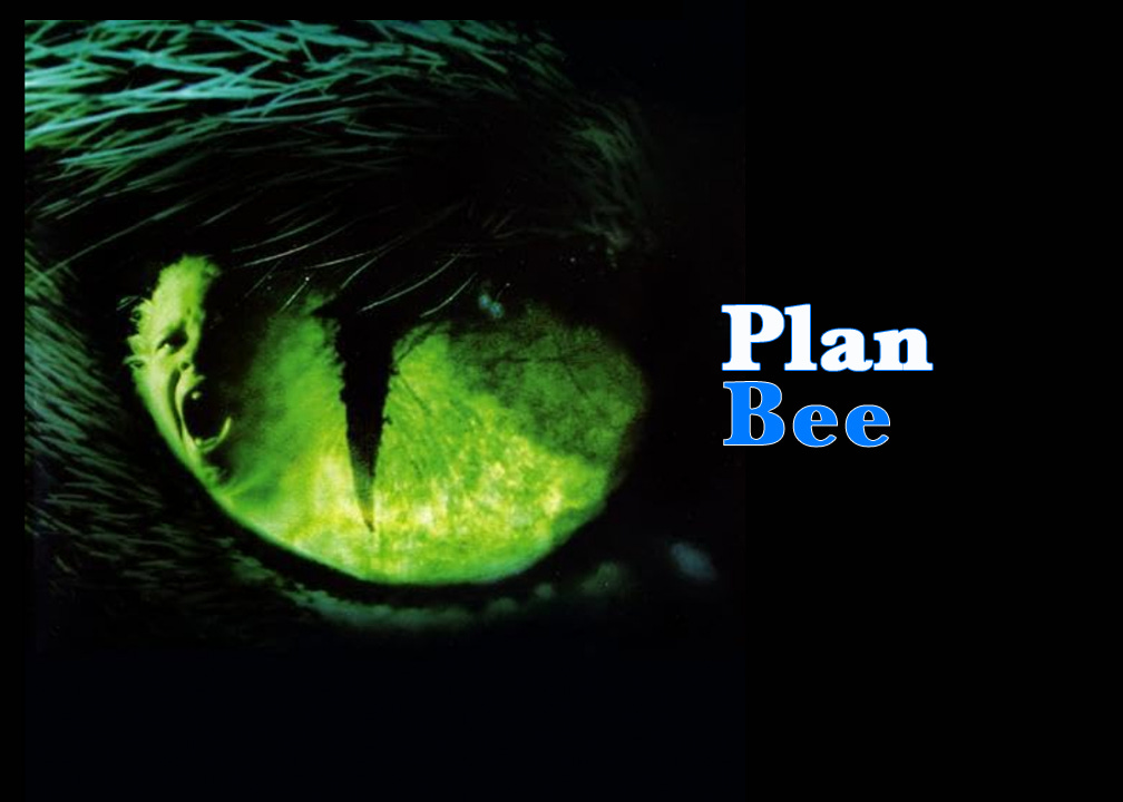 Best Humor Newsletters on Substack