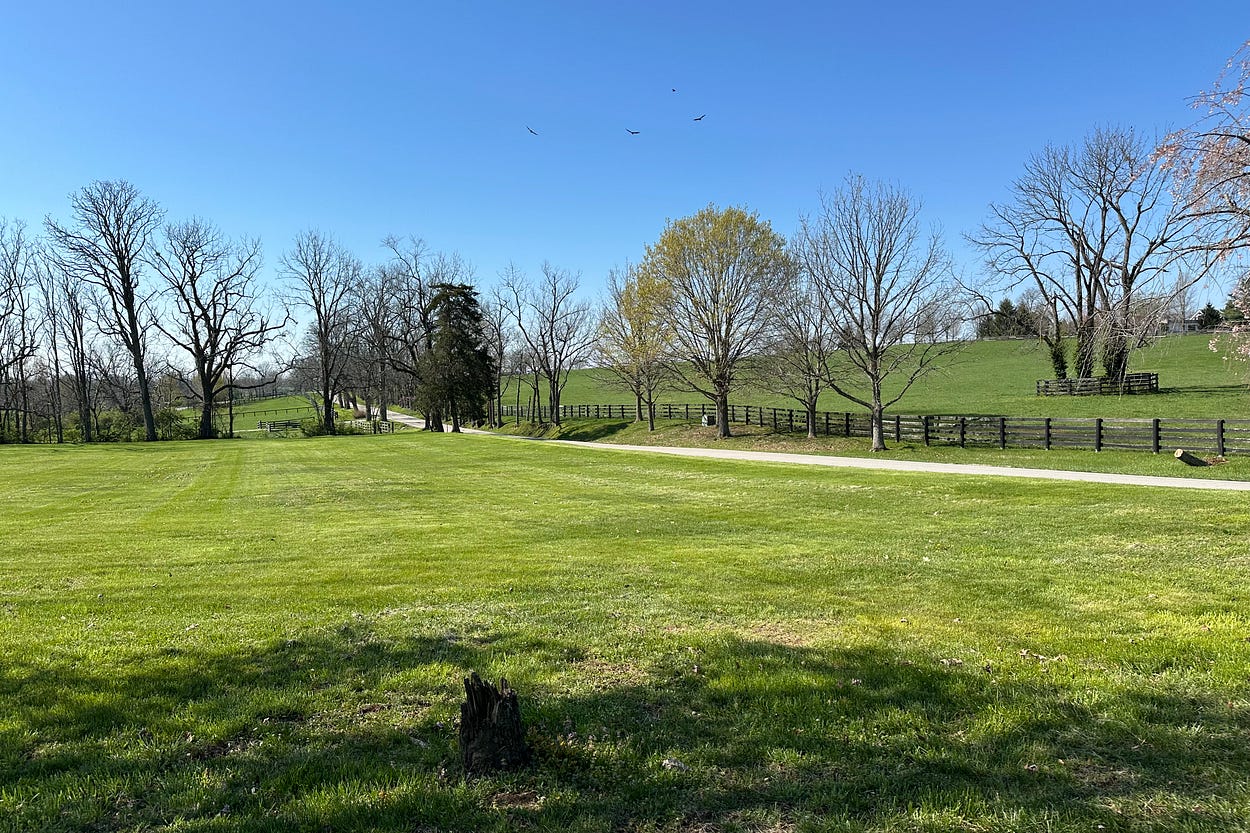 The Luna Tales | Lucy Luna | Substack