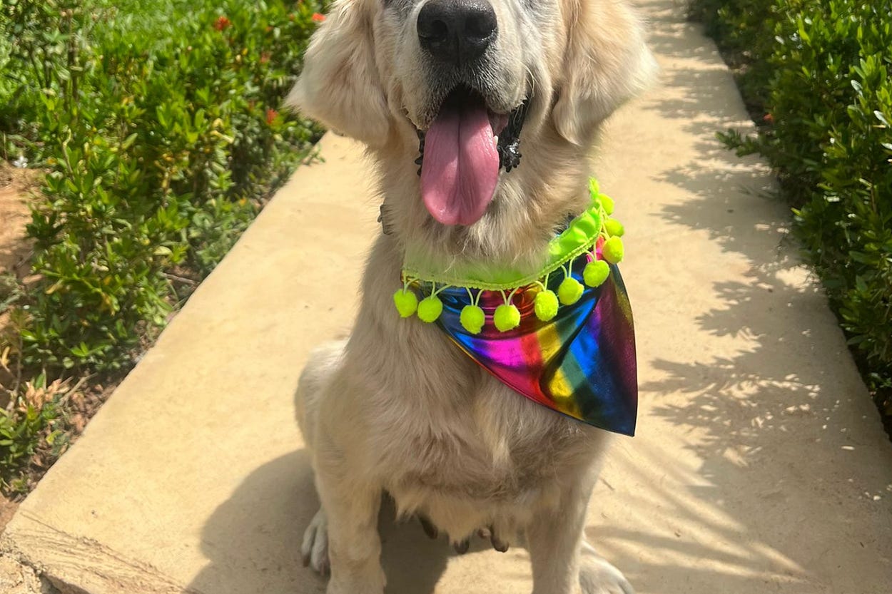 Best Culture Newsletters on Substack