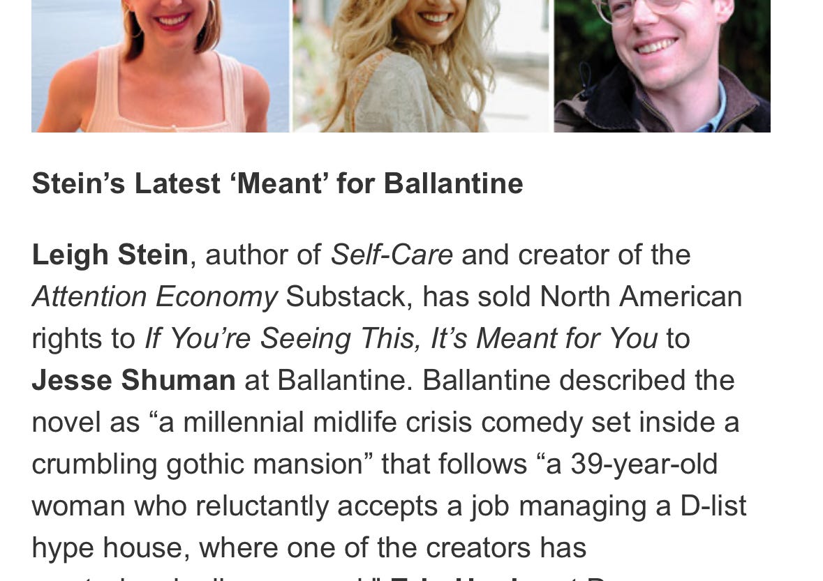 Attention Economy | Leigh Stein | Substack