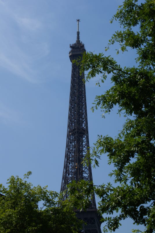 From Seed to Bloom | Camilla Grayley | Substack