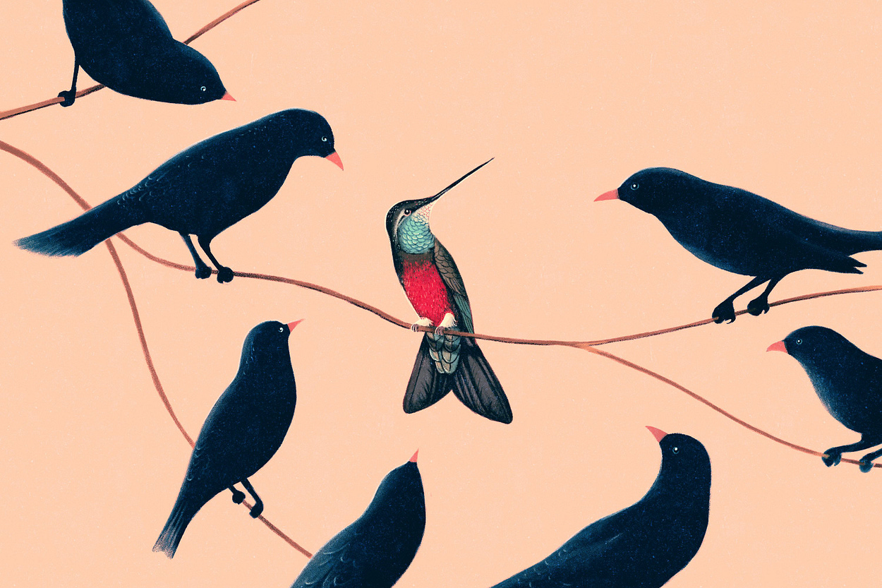 Best Business Newsletters on Substack