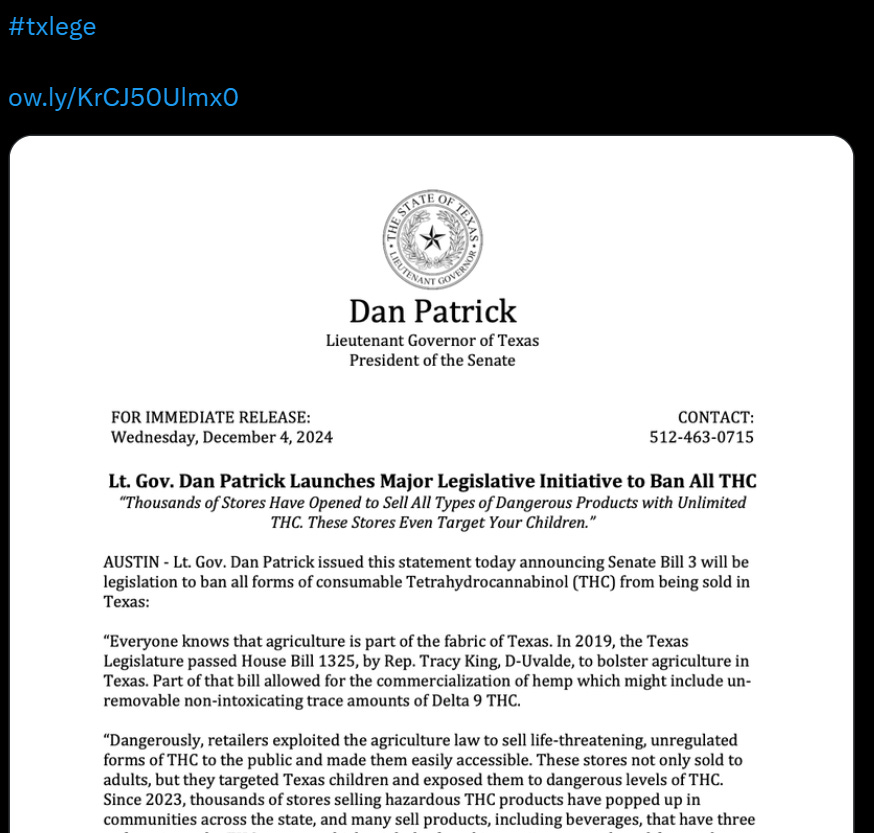 The Houston Comical | Merissa Hansen | Substack