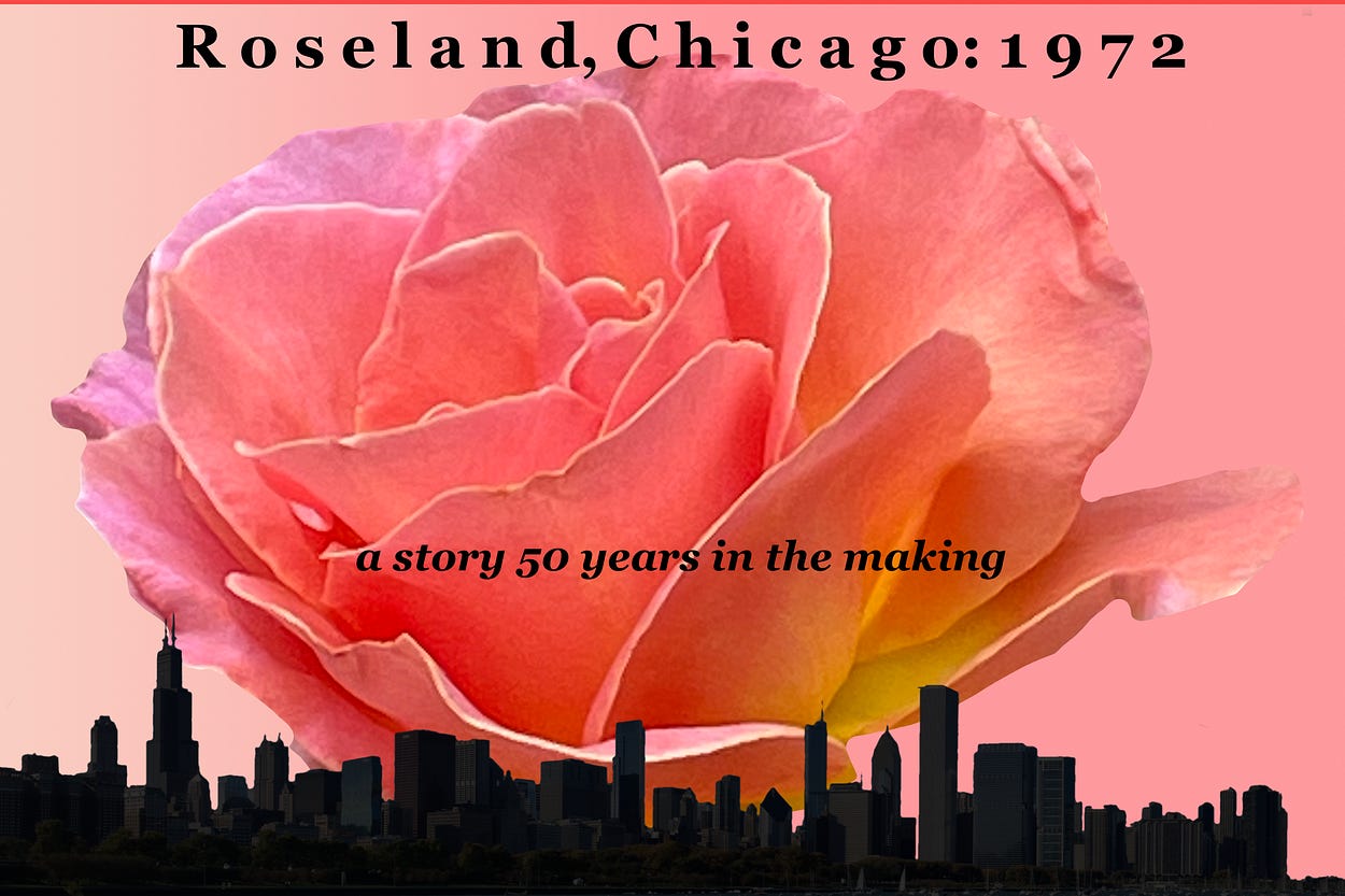 Roseland, Chicago: 1972 | Cate Plys | Substack