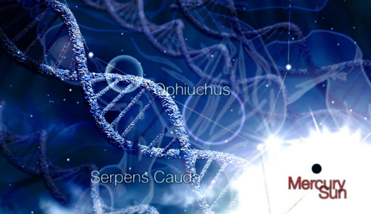 The White Rabbit | Kyree Anthony | Substack