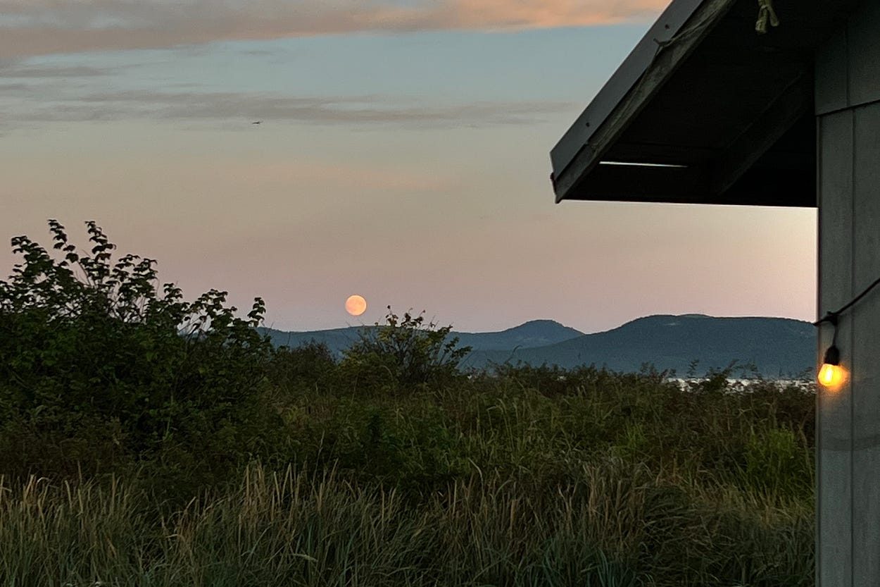 Madison Spain Club | Blakely Spoor | Substack