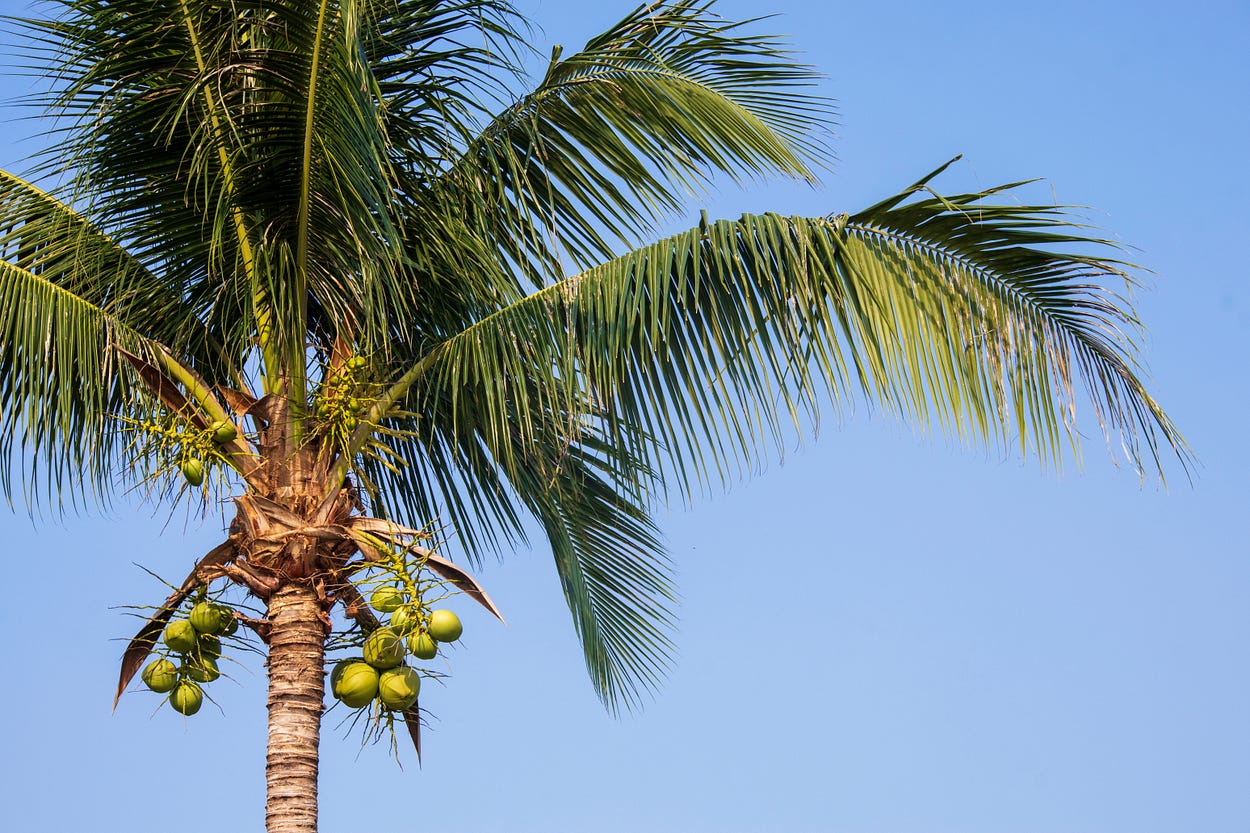 Very Serious | Josh Barro | Substack