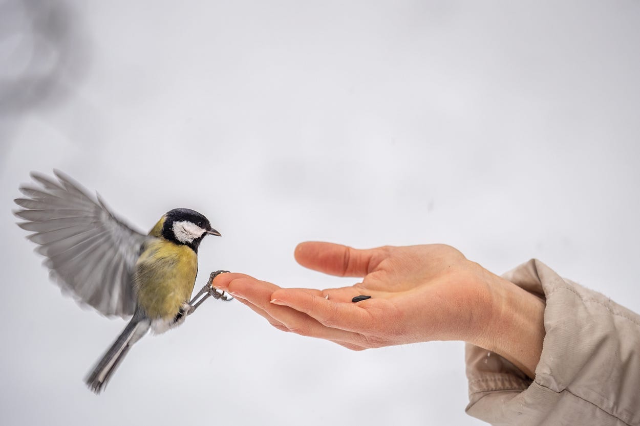 The Brave Edit by Jess Keating | Substack