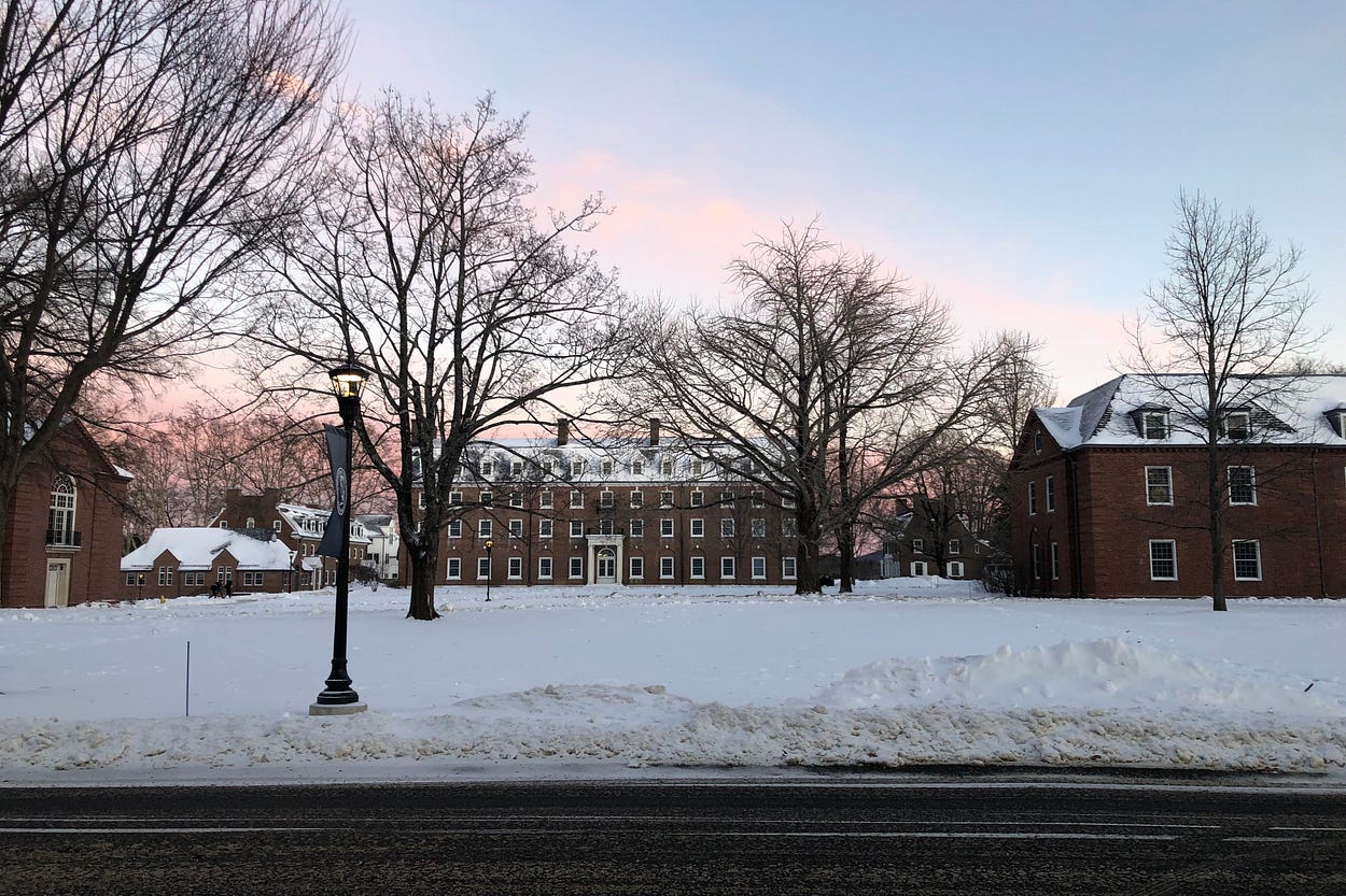 Play It As It Lays | Isabel Su | Substack