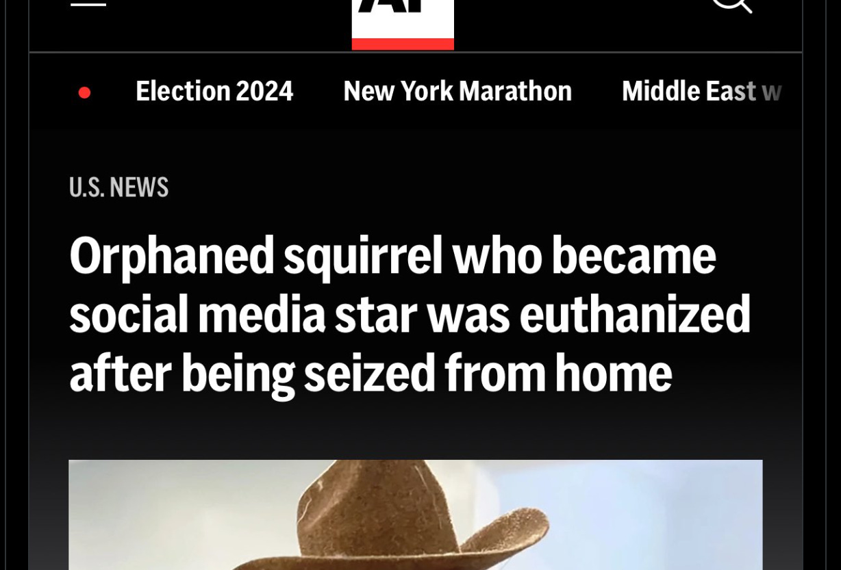 Мөлжүүртэй Булан 🚀 | Enkhmanal | Substack