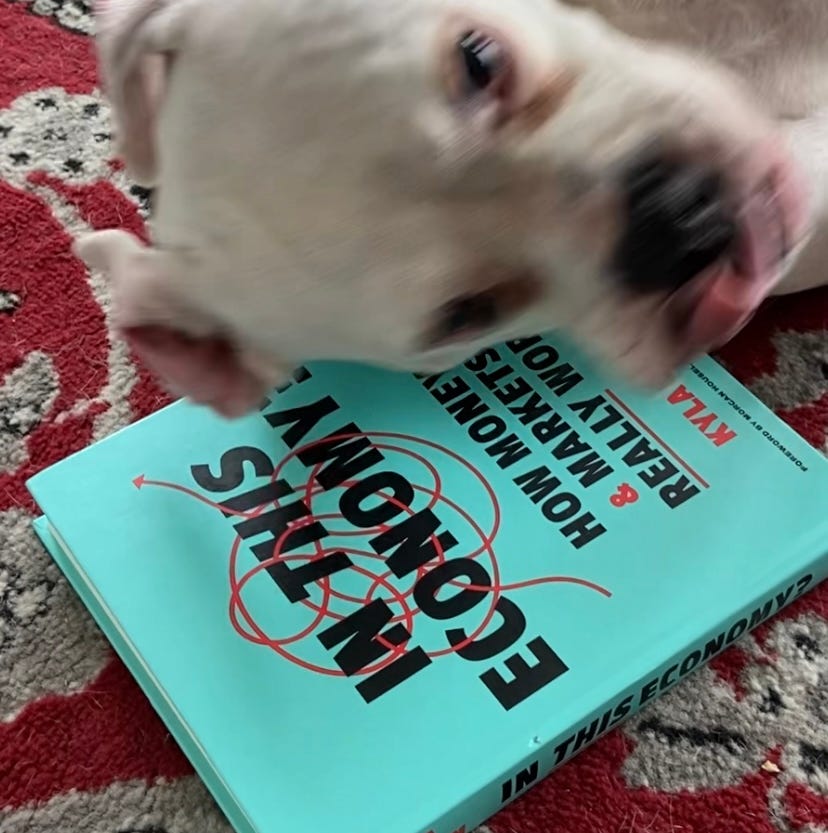 Kyla’s Newsletter | kyla scanlon | Substack